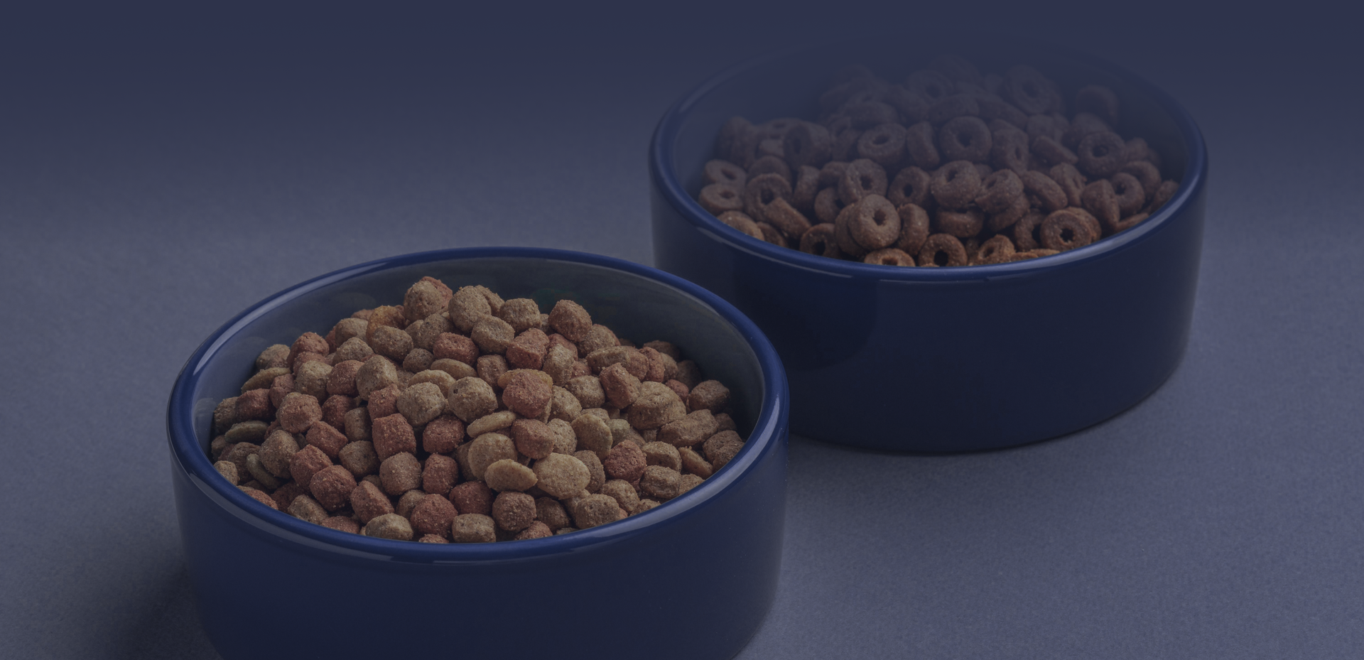 Good Kibble – Whole Life Pet