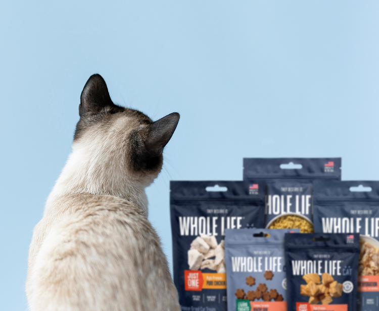 Cat Bundles – Whole Life Pet